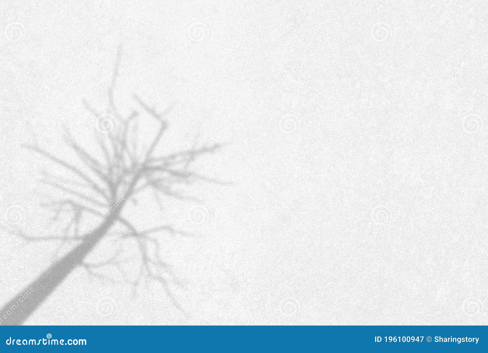 Shadow of the Tree Branches that No Leaves on White Wall Stock Image ...