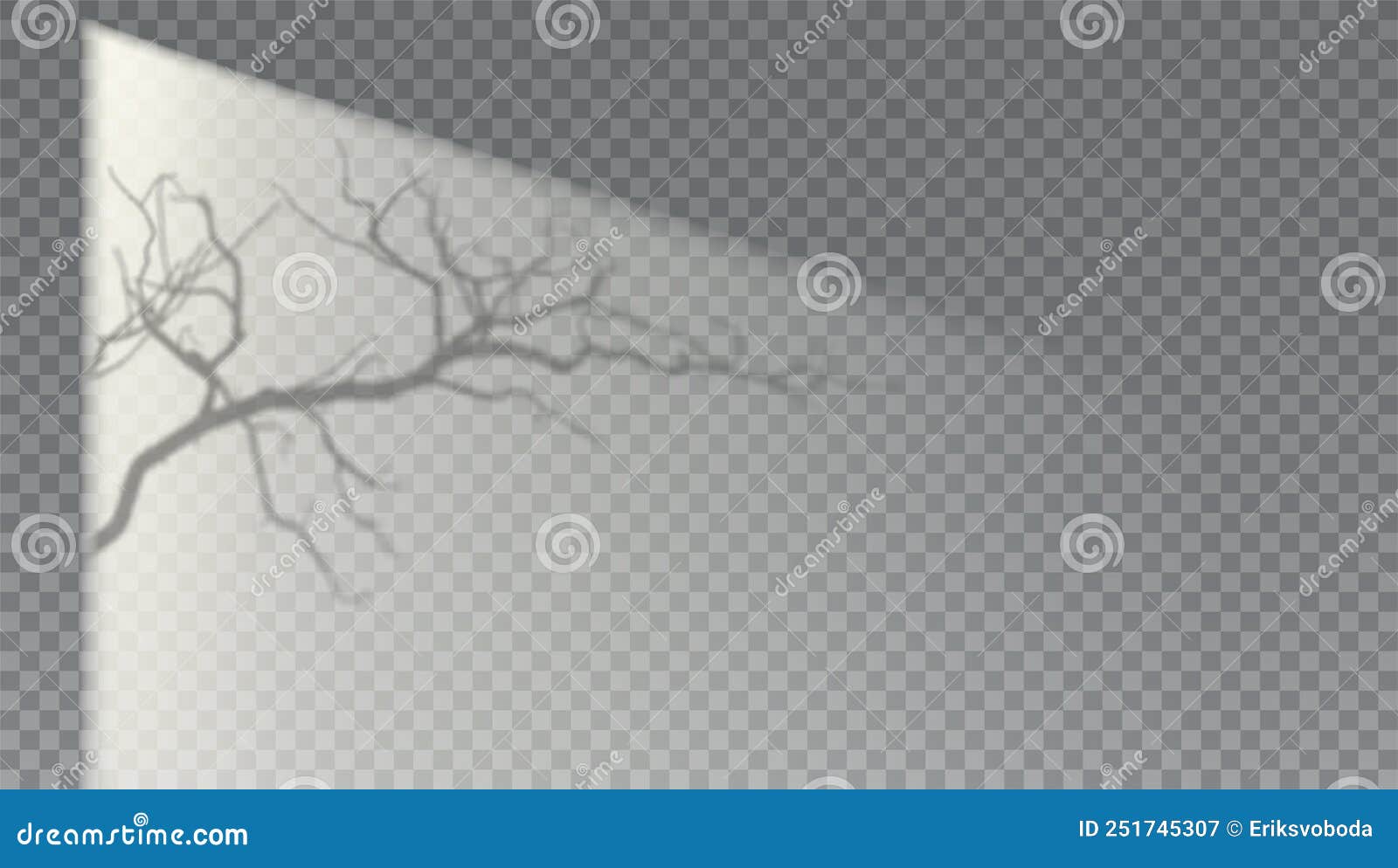 Shadow of Tree Branches on Studio Wall Stock Vector - Illustration of ...