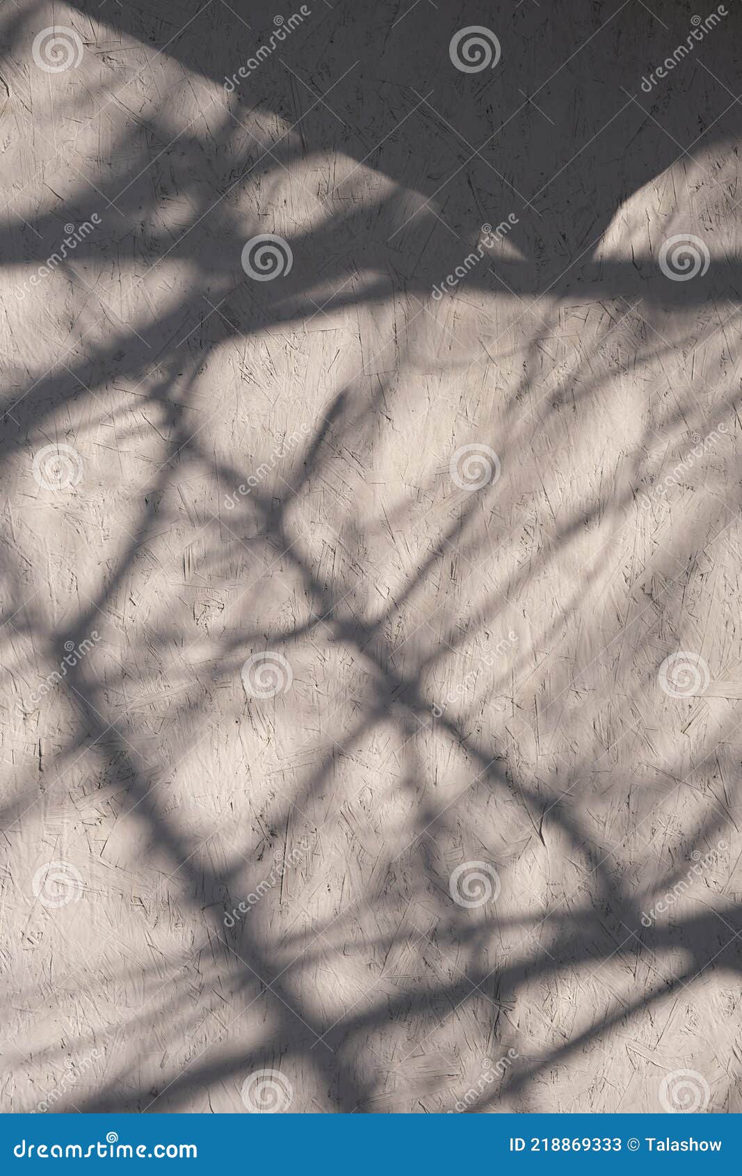 Shadow from Tree Branches on White Wall Stock Image - Image of sunshine ...
