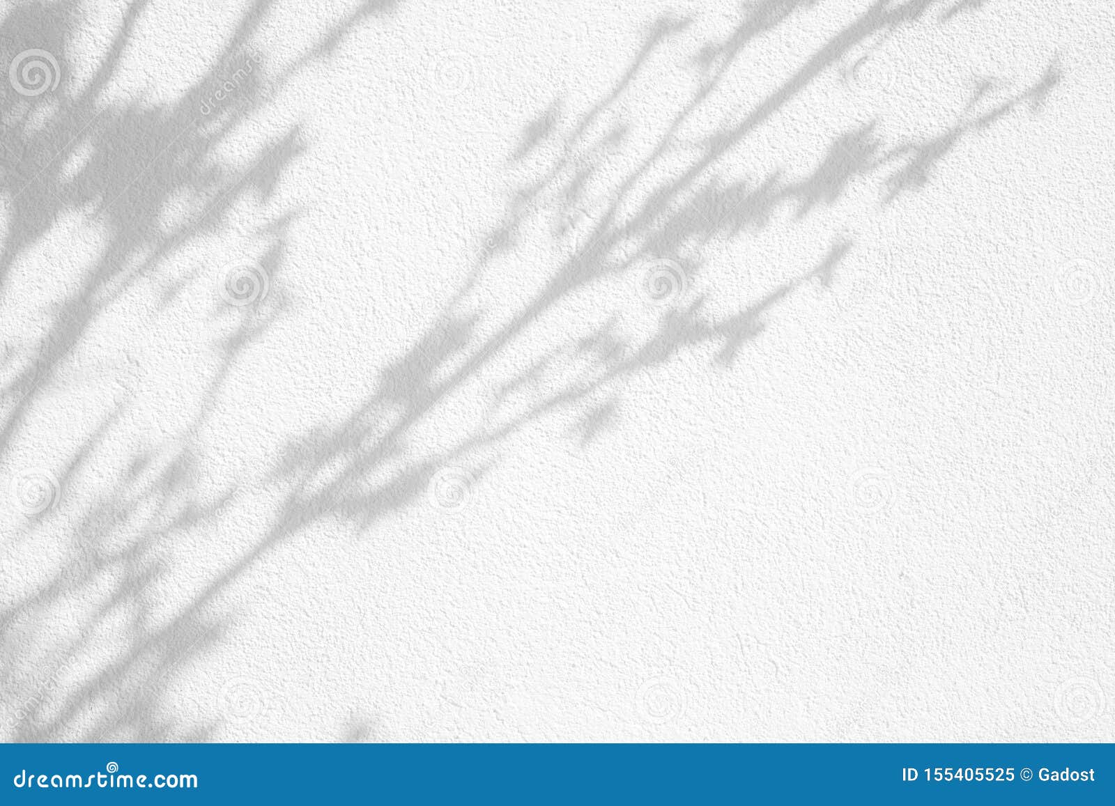 Shadow of the Tree Brunches on a White Wall Stock Image - Image of ...