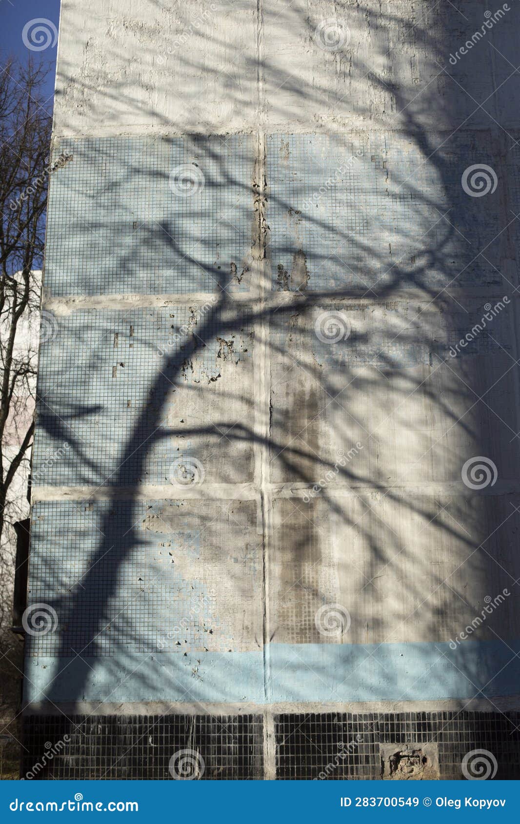 Shadow of Tree on Building. Sun Shadow on Wall Stock Image - Image of ...