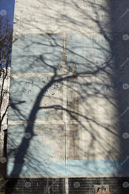 Shadow of Tree on Building. Sun Shadow on Wall Stock Image - Image of ...