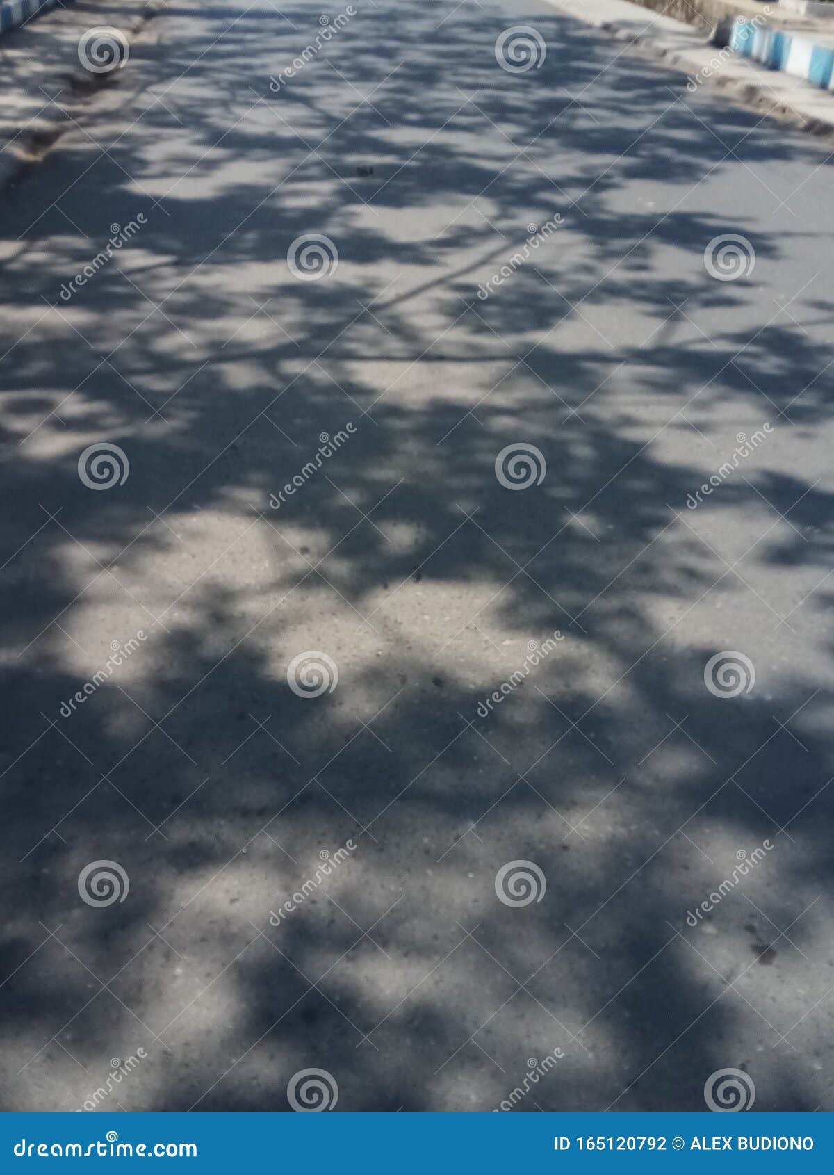 The Shadow of a Tree Exposed To Sunlight Stock Photo - Image of exposed ...