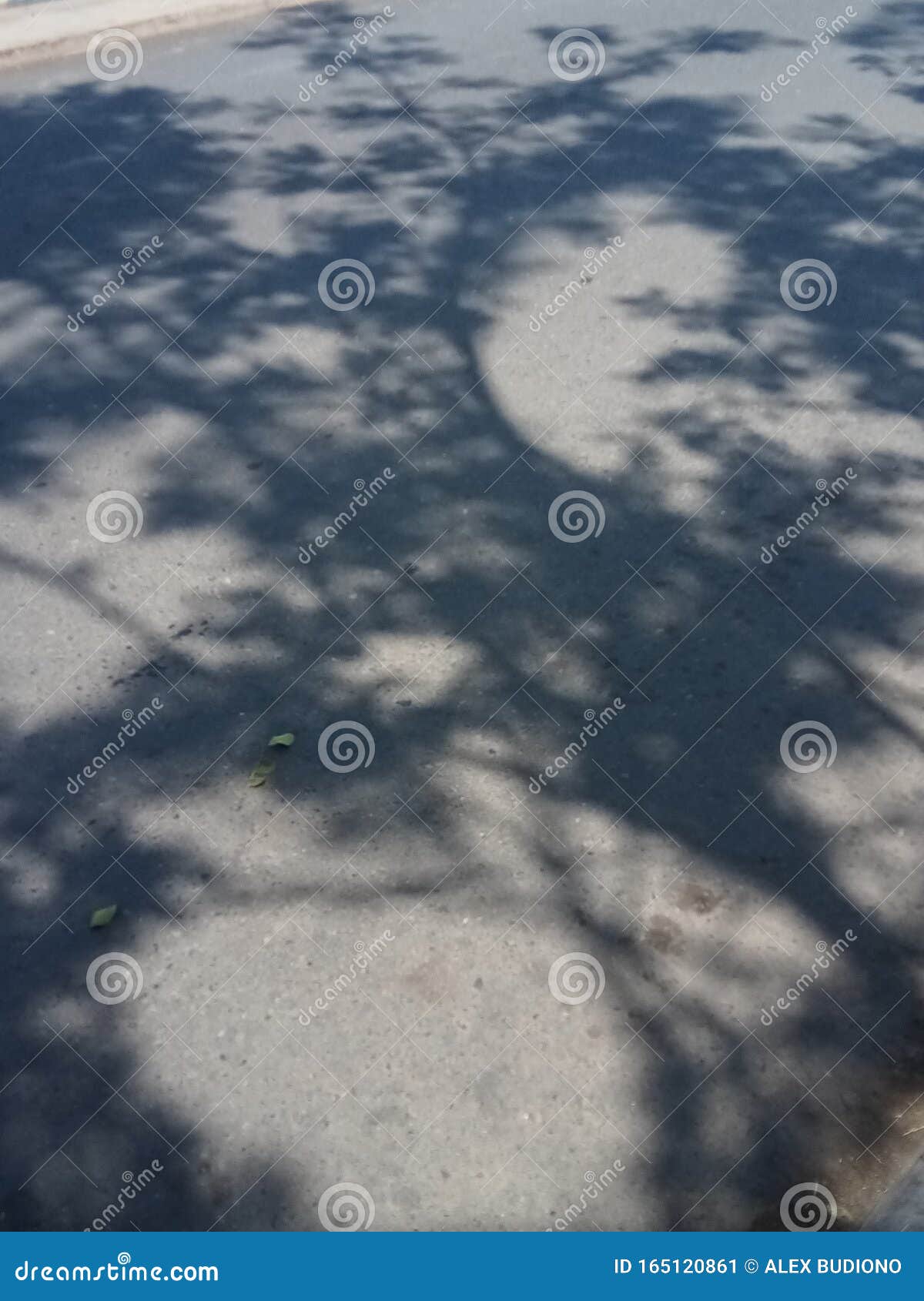 The Shadow of a Tree Exposed To Sunlight Stock Image - Image of tree ...
