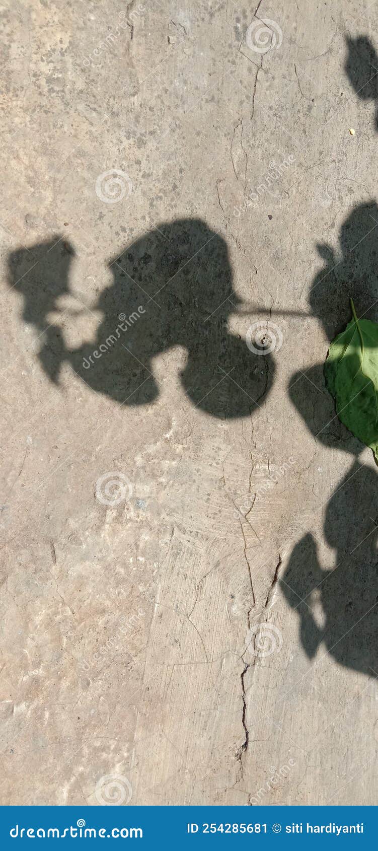 The Shadow of the Tree on the Ground Shine by the Sun Light Stock Image ...