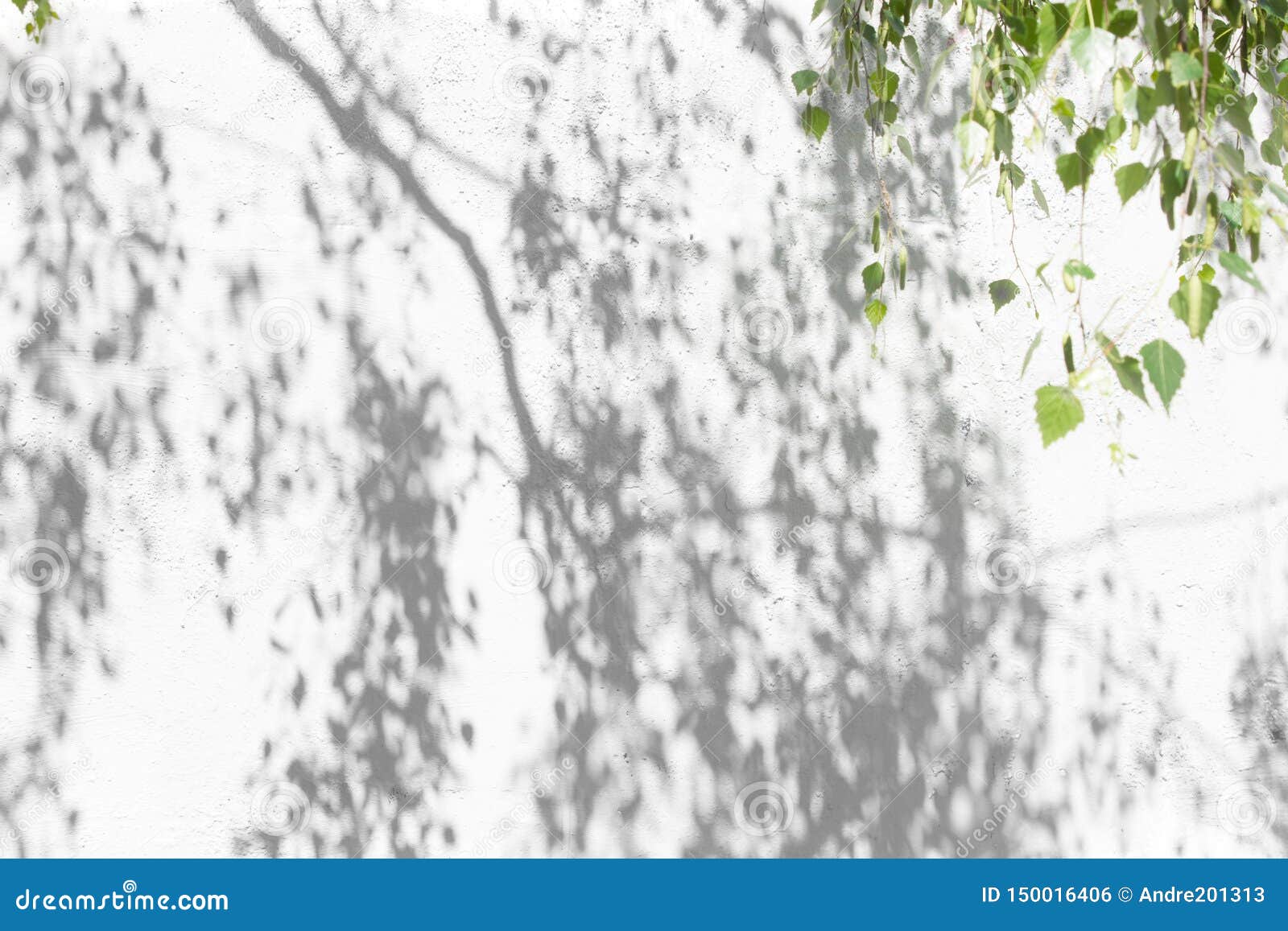 Shadow of a Tree with a Leafy Crown on the Wall. Leaf Pattern. Blurred ...