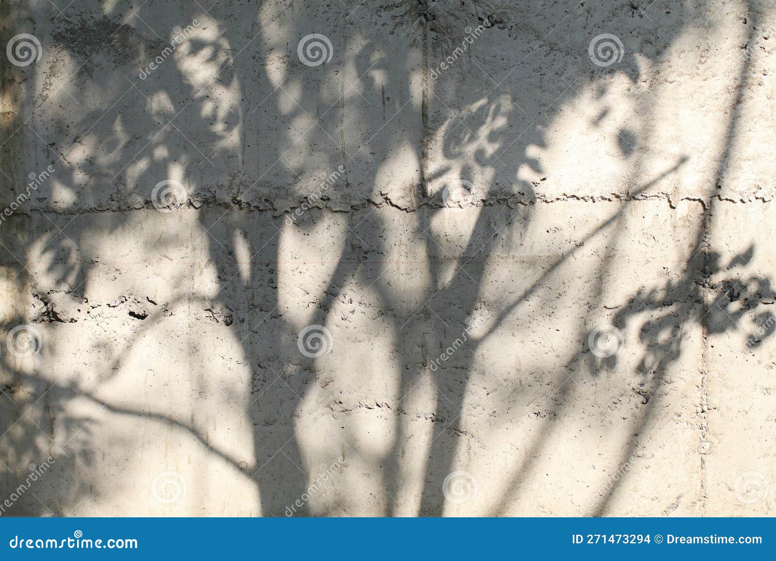 Shadow Of Tree Leave On The Grunge Concrete Wall Texture Background ...