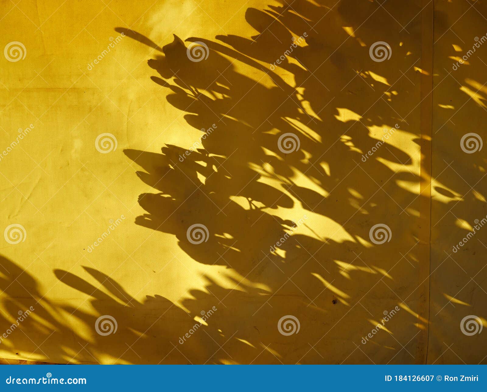 Shadow of Tree Leave on the Grunge Yellow Wall Stock Image - Image of ...