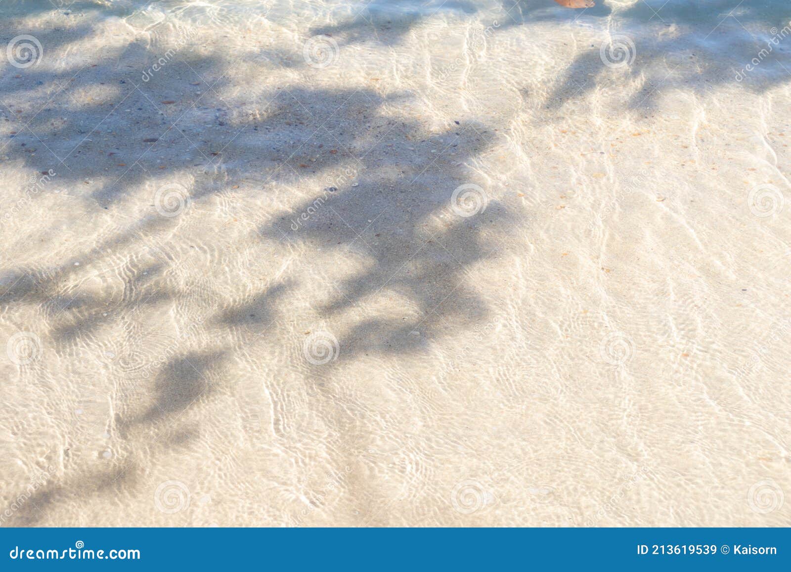 Shadow Of Tree Leaves On The Tropical Beach In Summer Royalty-Free ...