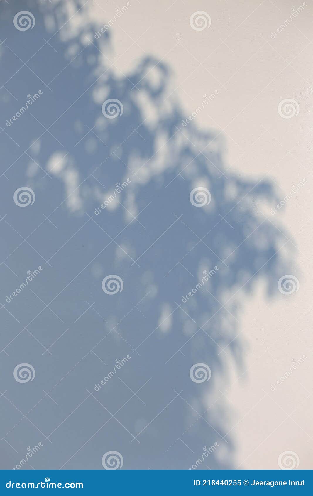 Shadow of Tree and Leaves on White Wall Stock Image - Image of shadow ...