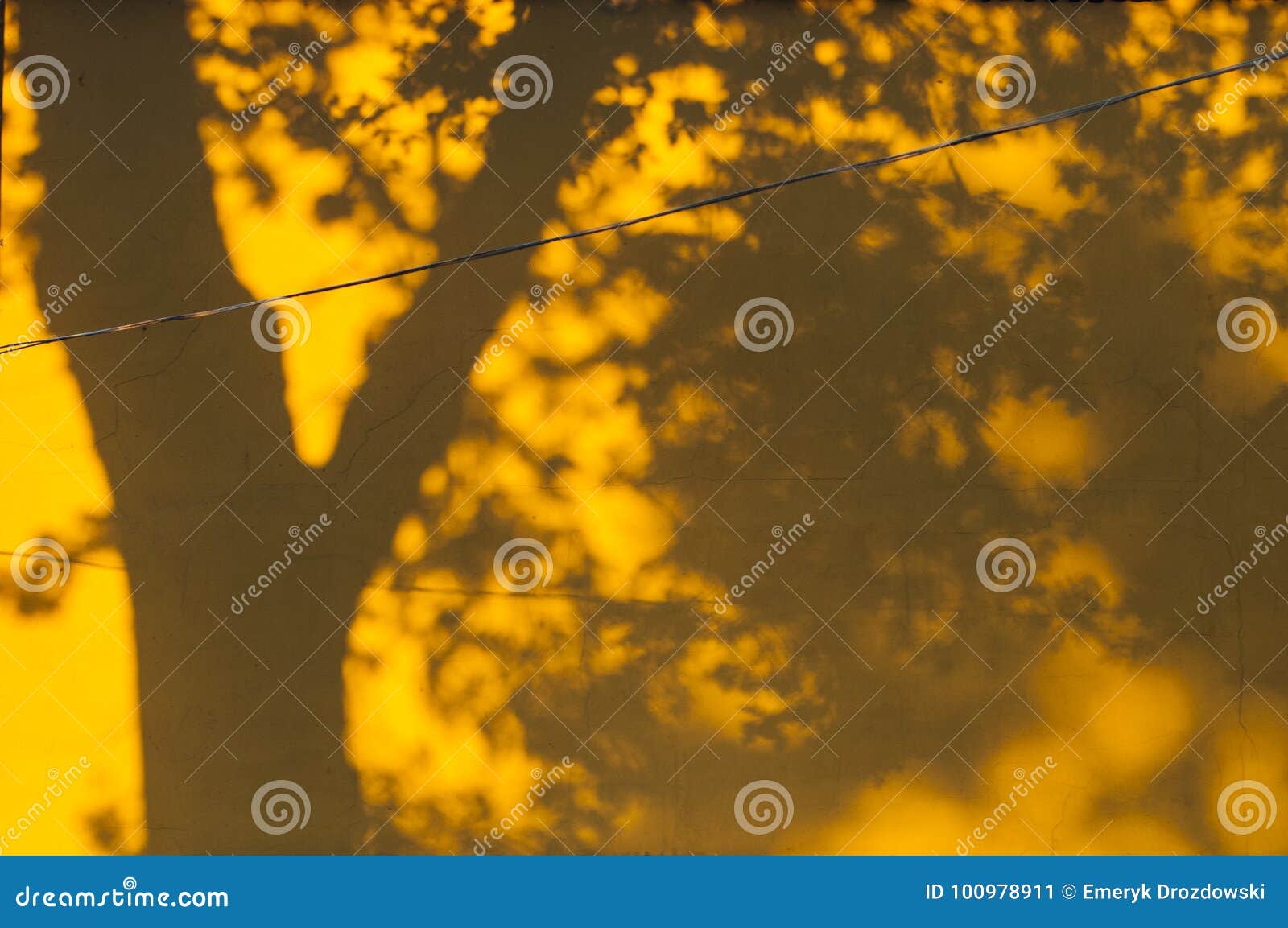 Shadow of an Oak Tree on Yellow Wall. Stock Image - Image of plant ...