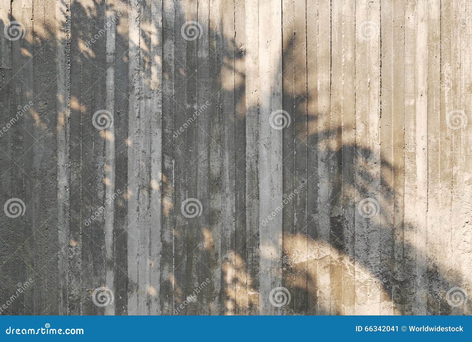 Shadow of Tree on Raw Concrete Wall Stock Image - Image of frond ...