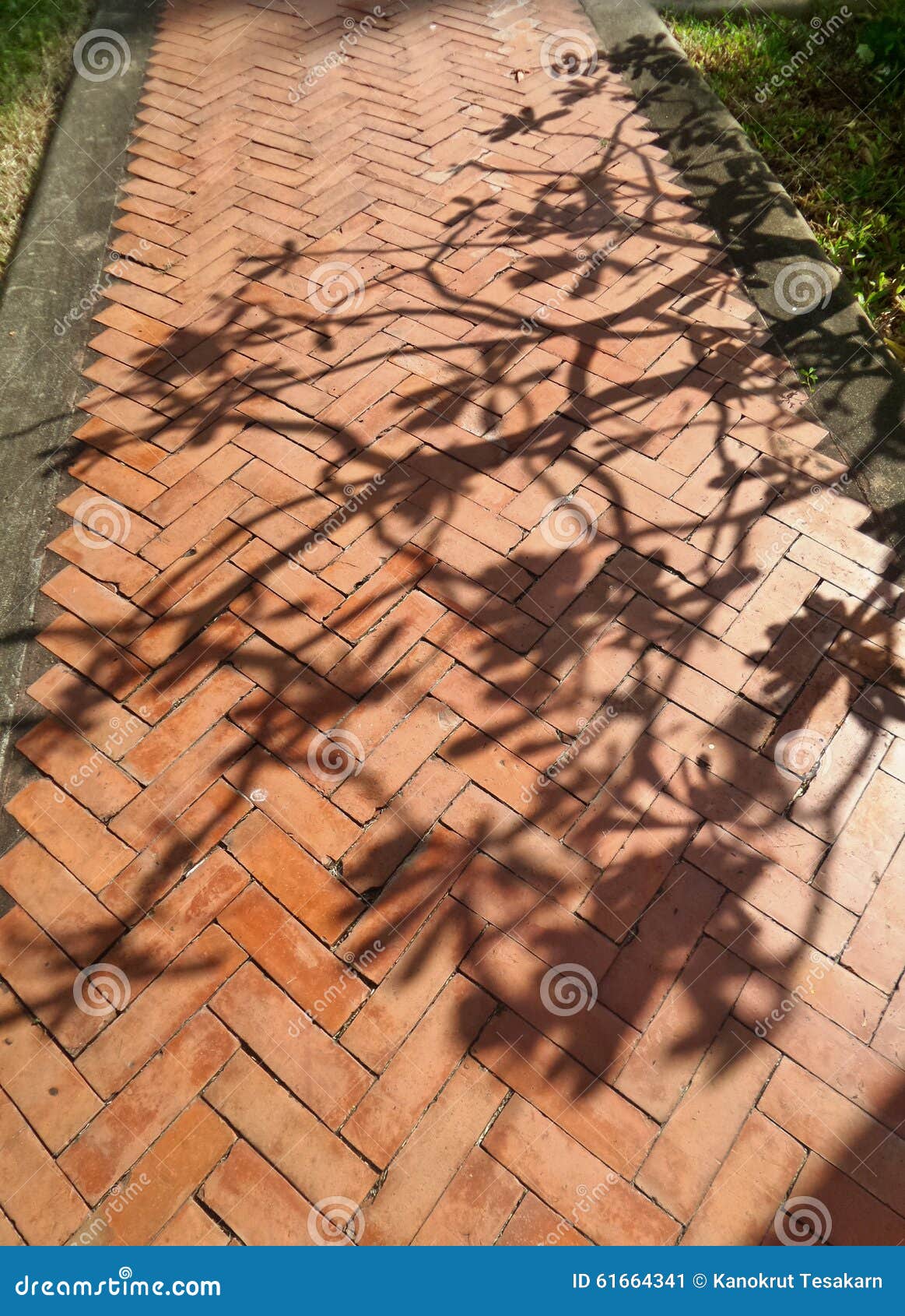 The Brick Foot Path Background. Stock Photo | CartoonDealer.com #90817272