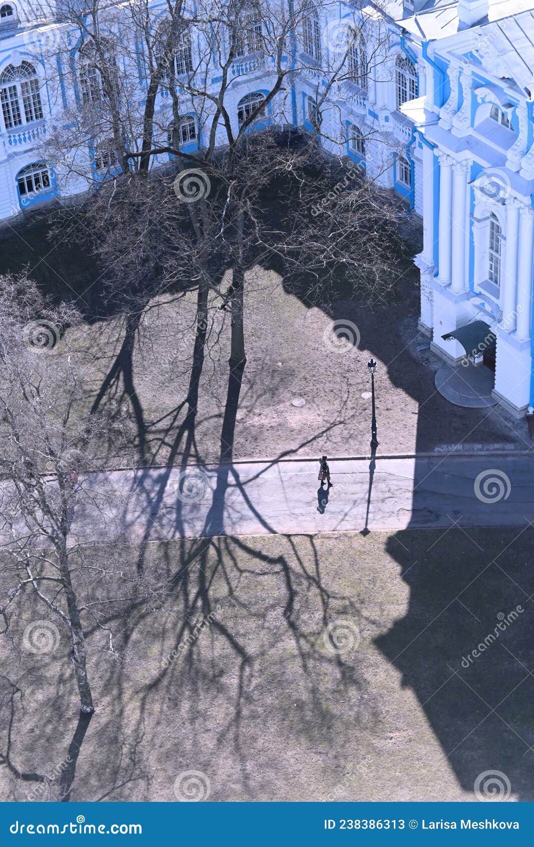 A Shadow from a Tree, a Shadow from a Person, a Shadow from a Lantern ...