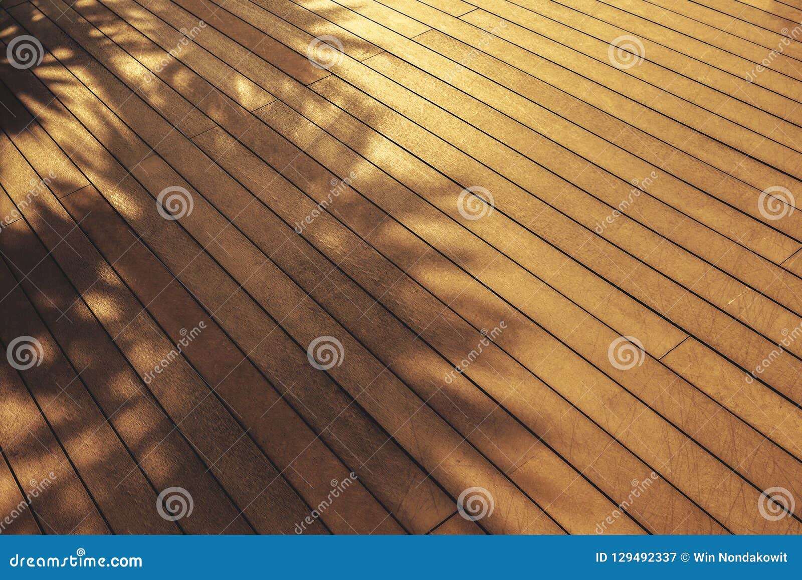 Shadow of the tree stock image. Image of tropical, plant - 129492337