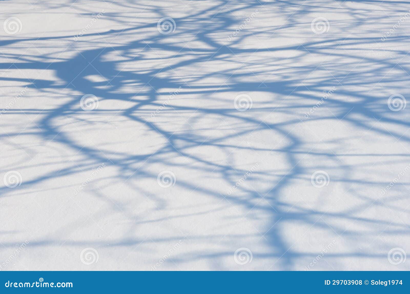 Shadow of a tree on snow stock photo. Image of pure, decorative - 29703908