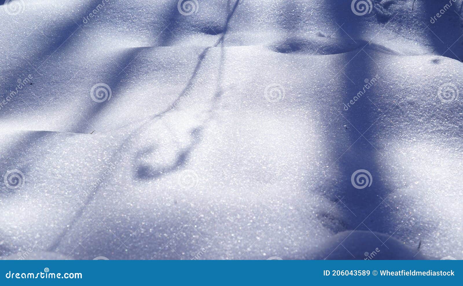 Shadow of Tree on Snow, Texture of Snow in Winter Stock Image - Image ...