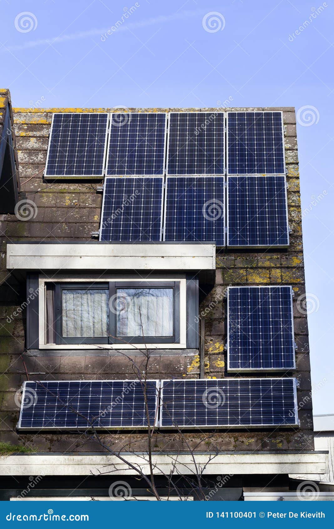 Shadow of a Tree on Solar Panels Stock Image - Image of environment ...