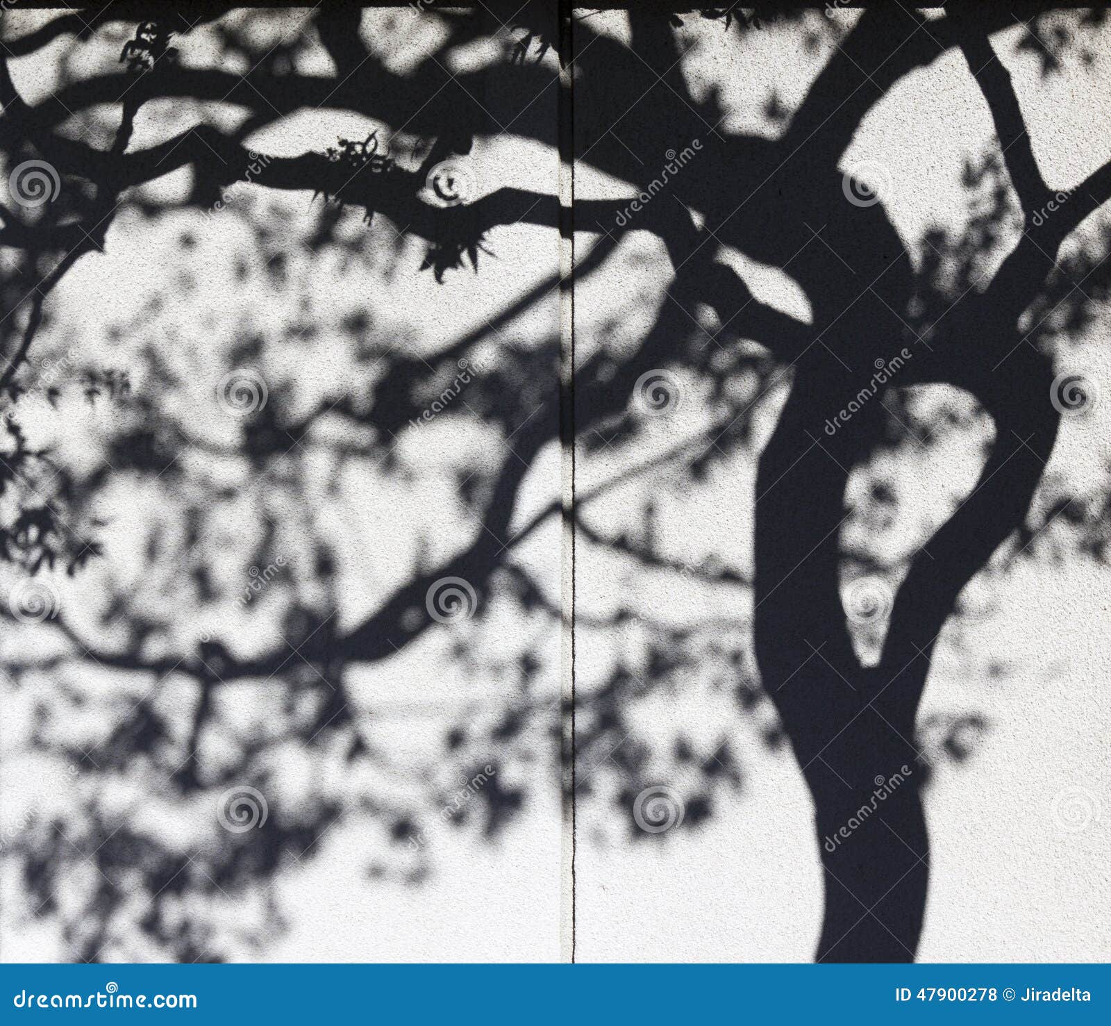 Shadow of Tree on the Wall stock photo. Image of abstract - 47900278