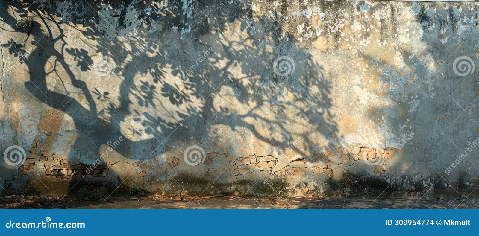 Shadow of Tree on Wall stock photo. Image of shadows - 309954774