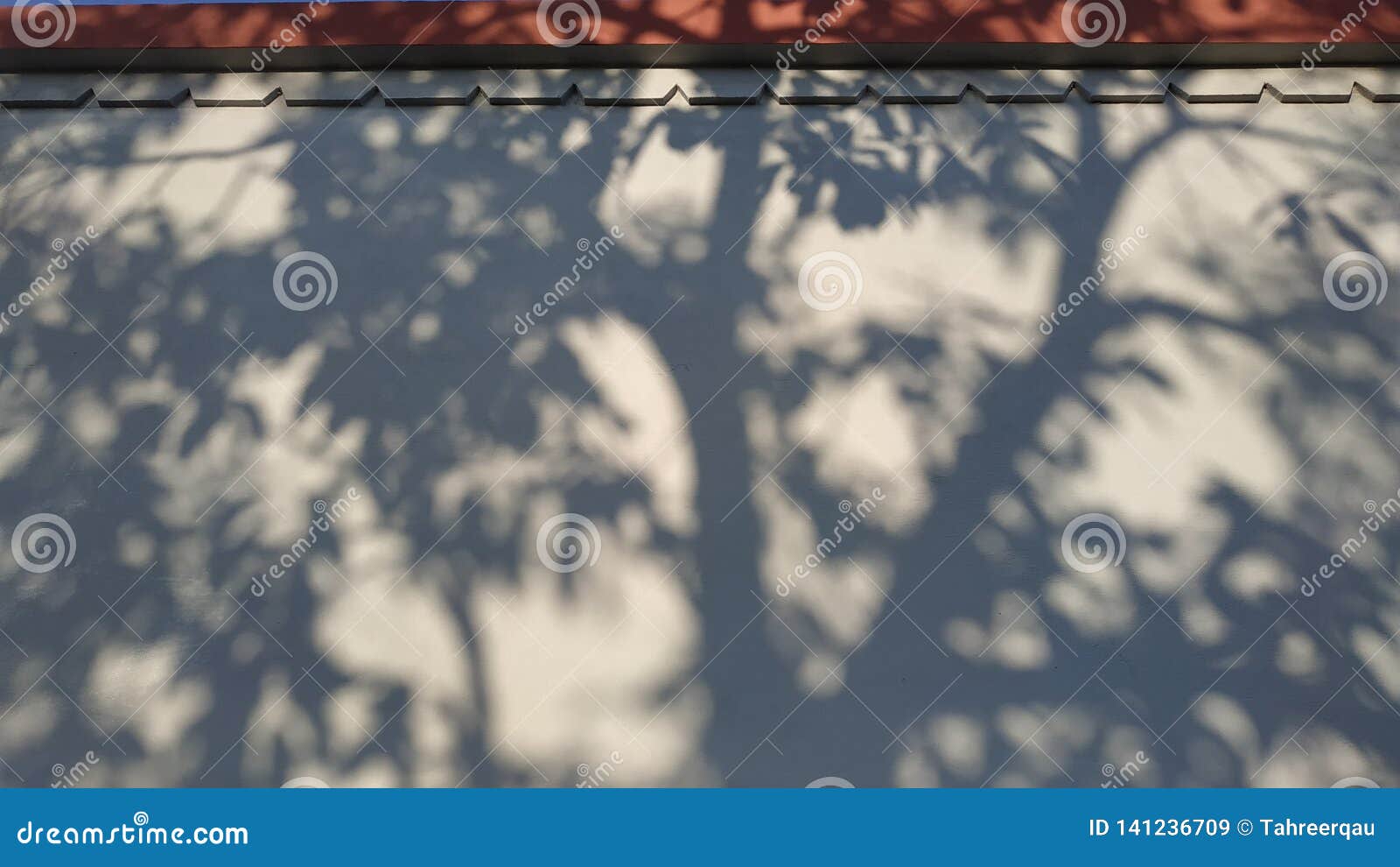 Shadow of a Tree on the Wall Stock Image - Image of house, abstract ...