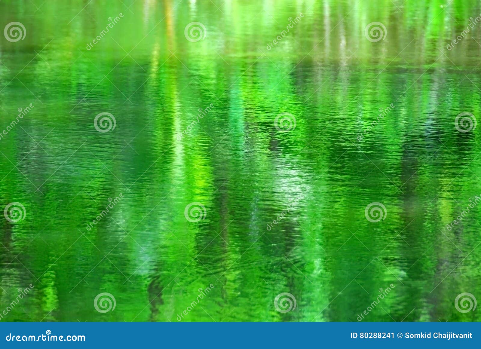 Shadow of tree on water stock image. Image of calmness - 80288241