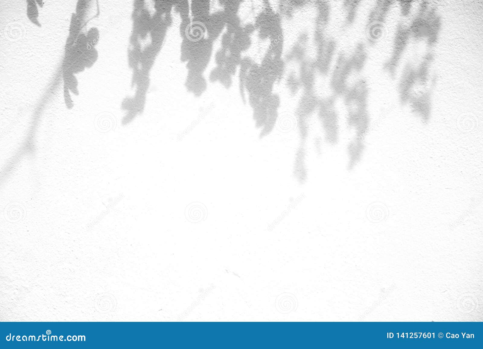 Shadow from a Tree on White Wall. Stock Image - Image of shadow, style ...