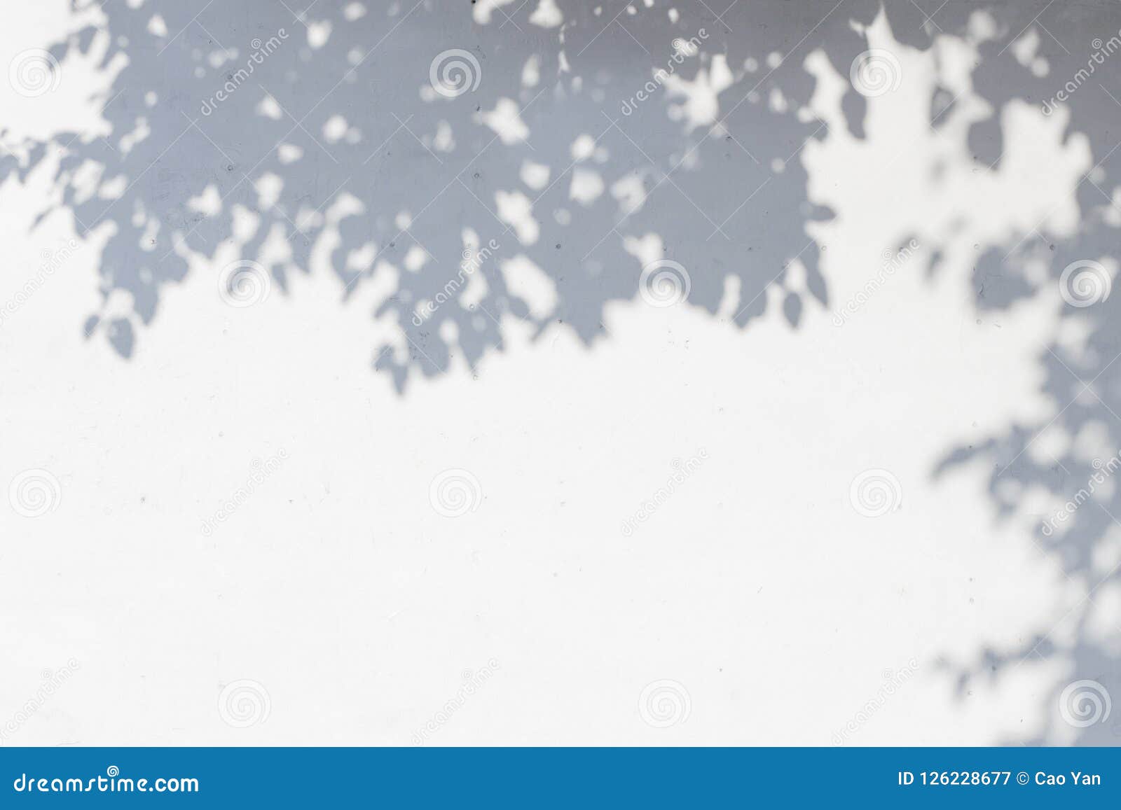 Shadow from a Tree on the Wall, Interesting Background Stock Image ...