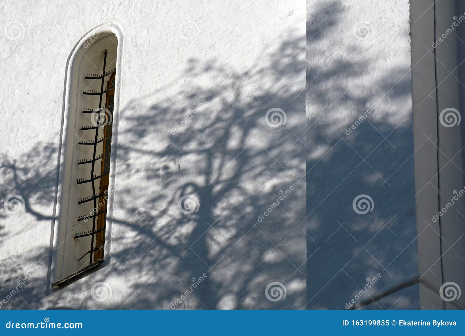 Shadow of a Tree on White Wall and Narrow Window Stock Image - Image of ...