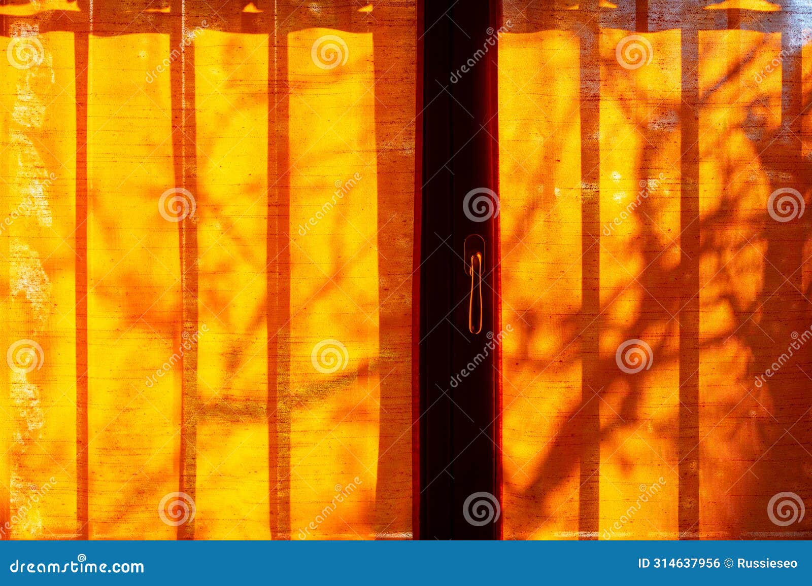 Shadow of the Tree on the Window Stock Photo - Image of sunny ...