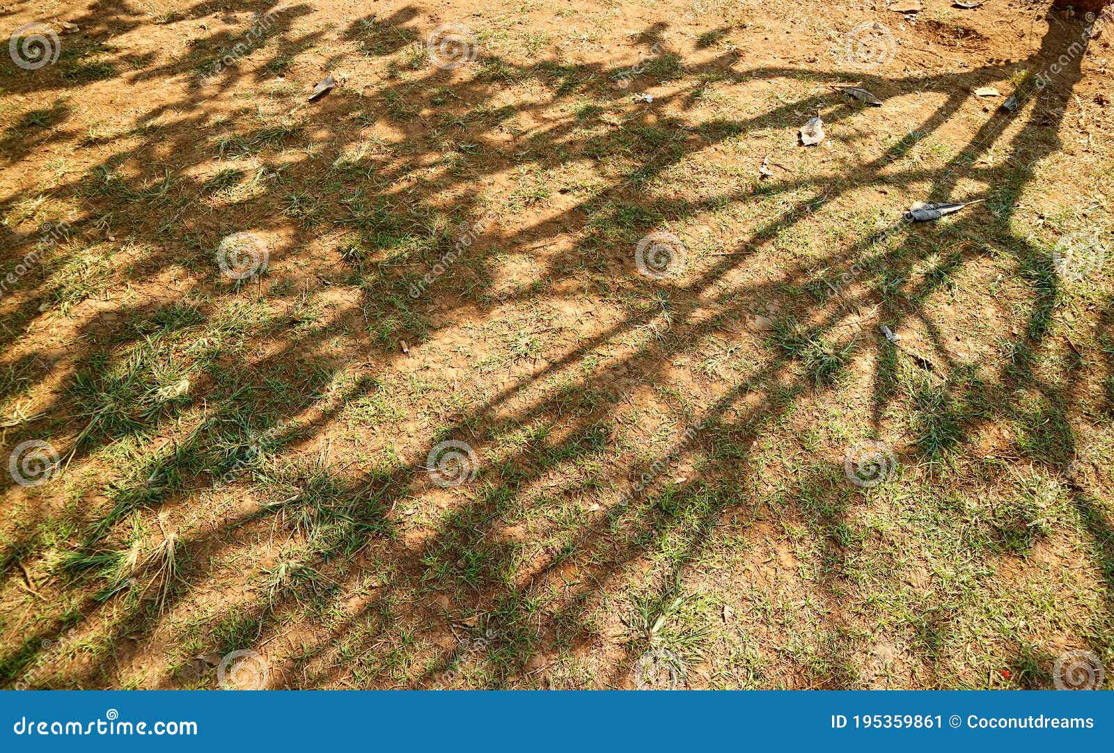 Shadow of the Trees on Dry Grass Field Stock Image - Image of large ...