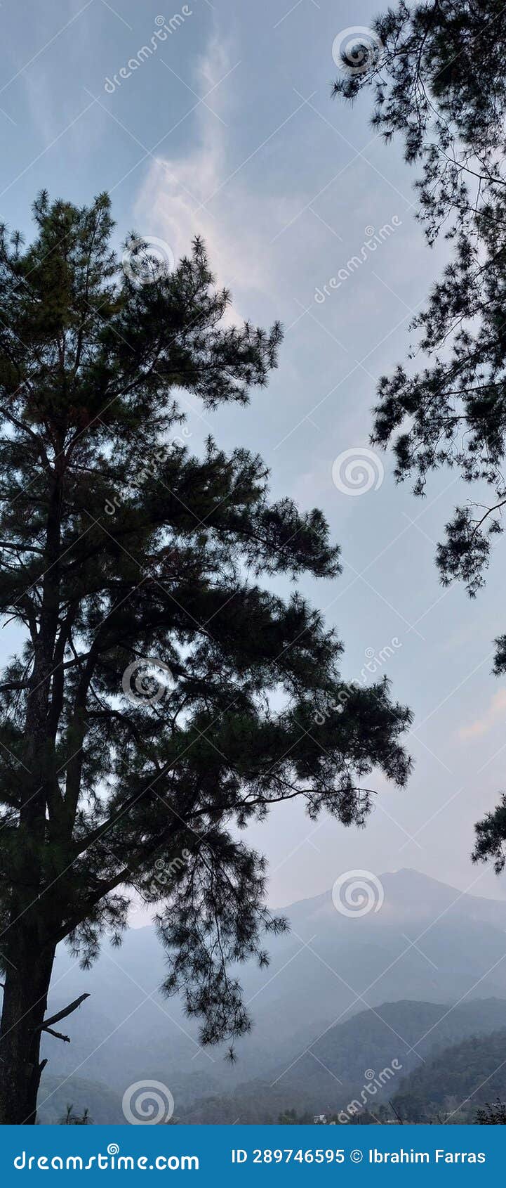 The Shadow of Trees and Mountain Become a Perfect Scenery Stock Image ...