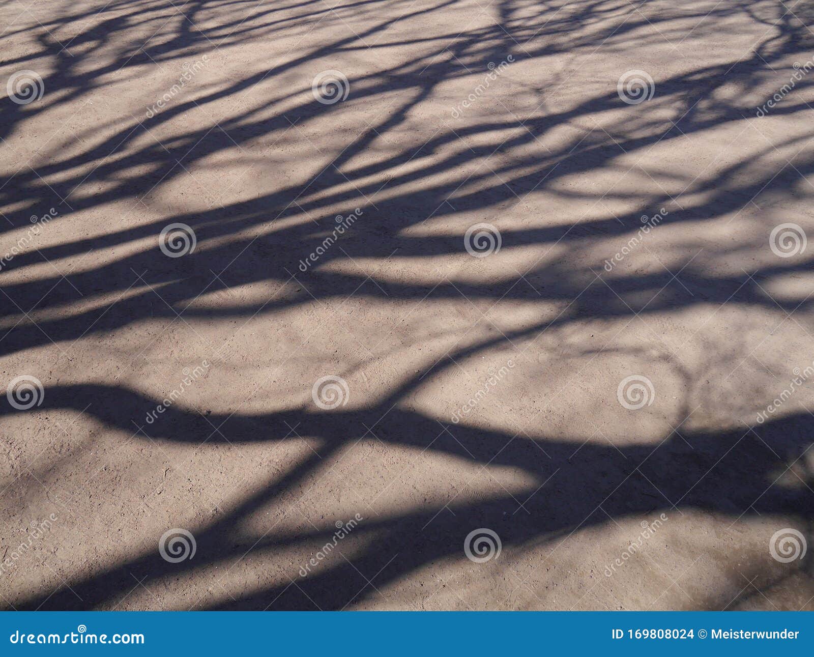 The Shadow Of The Trees On The Pavement, Background Stock Photography ...