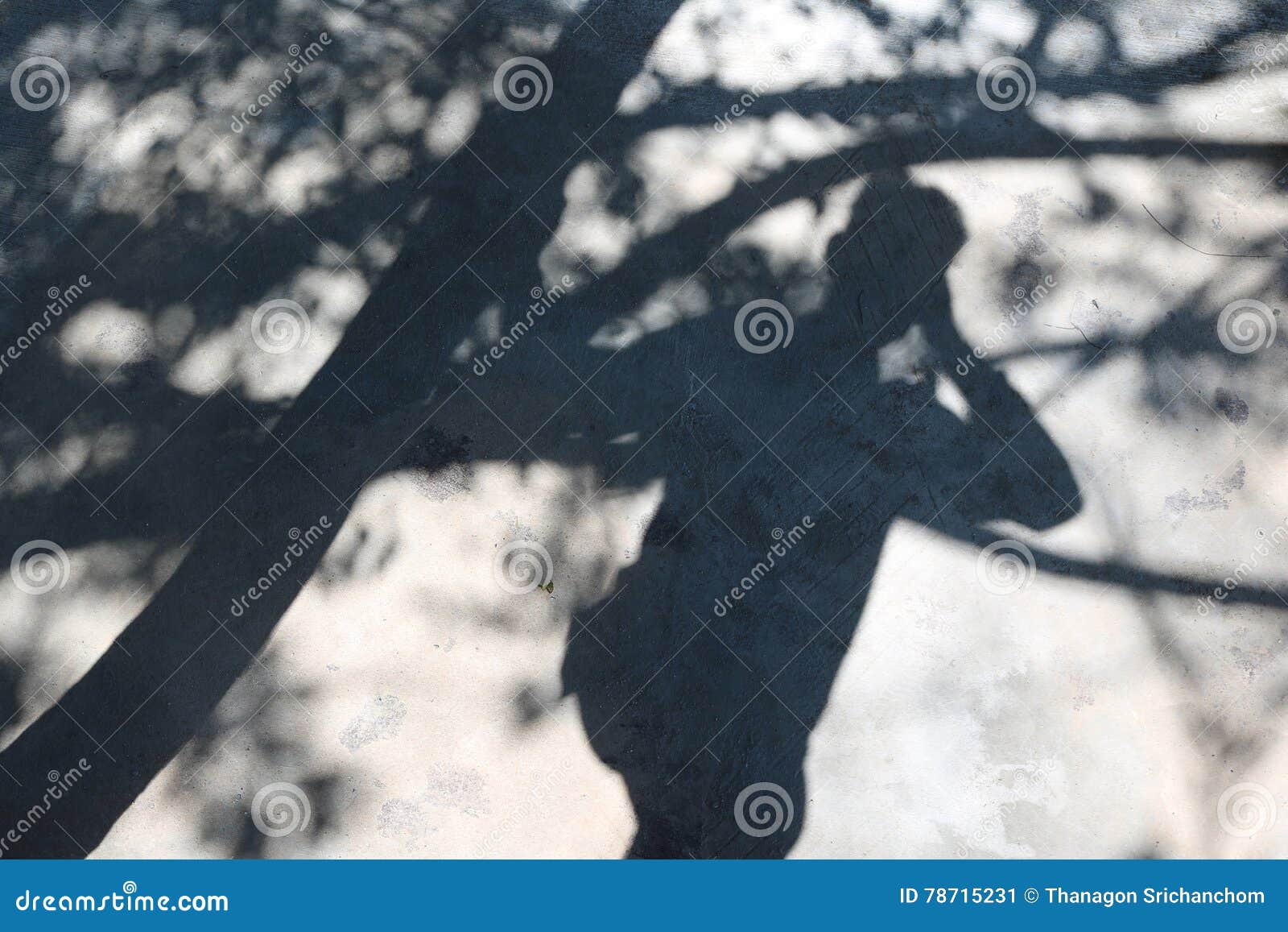 The Shadow of the Trees and People. Stock Image - Image of street ...