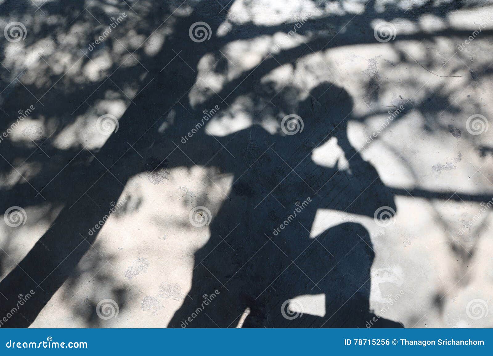 The Shadow of the Trees and People. Stock Photo - Image of people ...