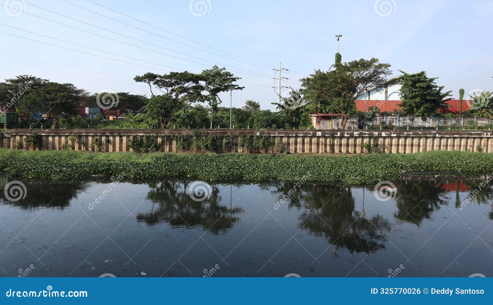 The Shadow of Trees on River Side Stock Photo - Image of side, shadow ...