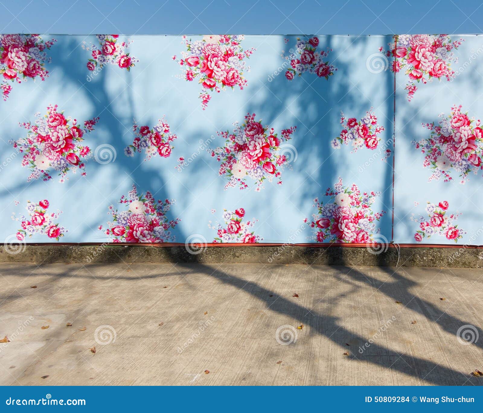 Shadow of trees stock photo. Image of shape, colorful - 50809284