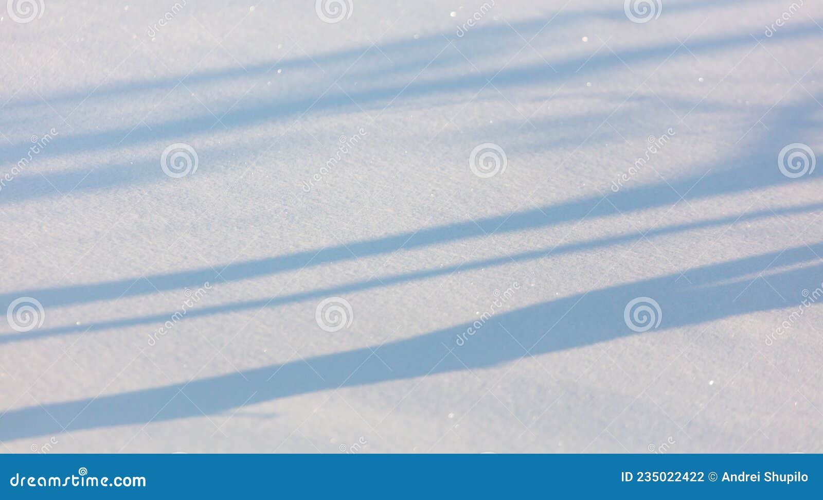 Shadow from Trees on the Snow As an Abstract Background. Stock Photo ...