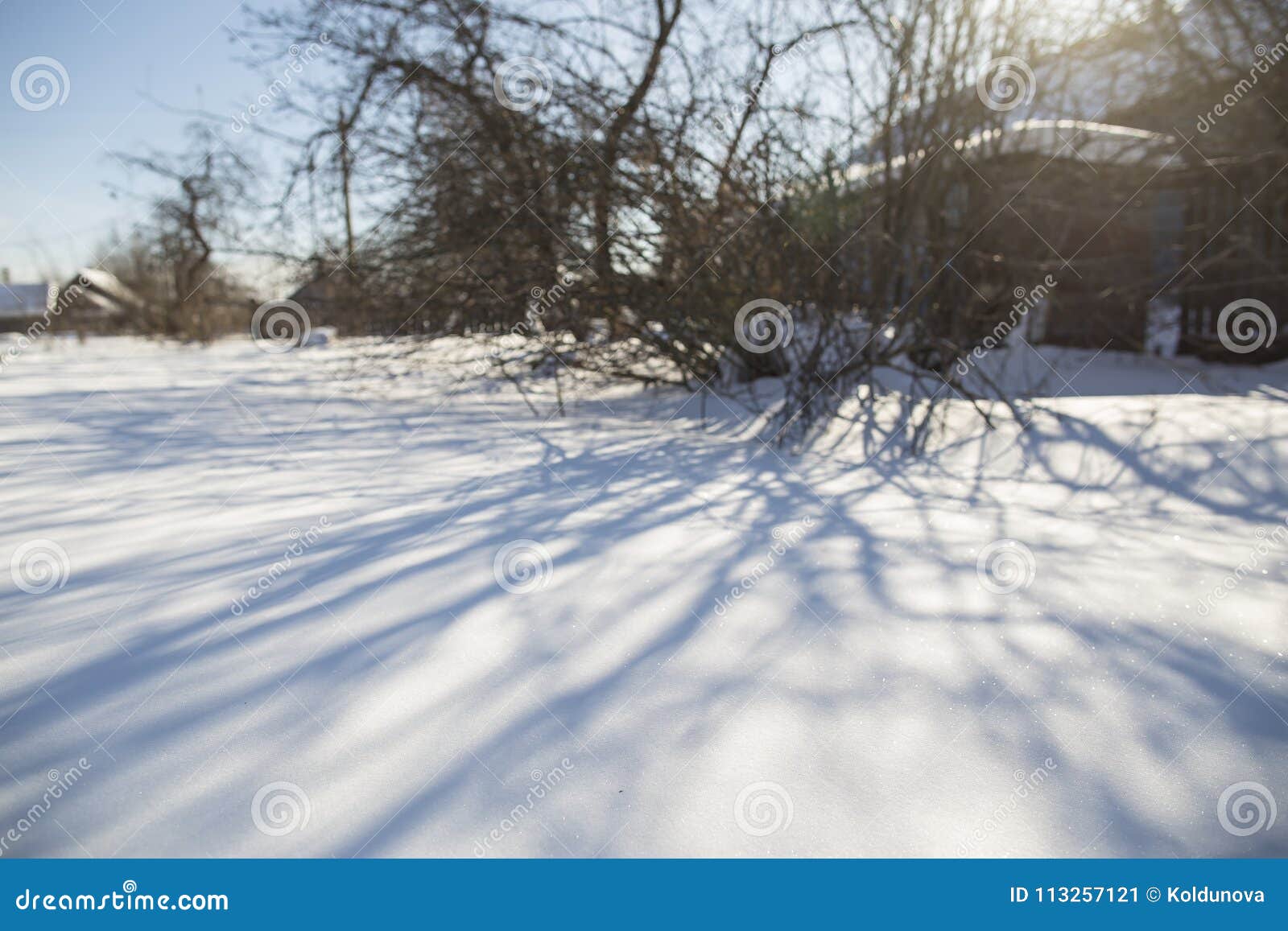 The Shadow of the Trees on the Snow Field on the Background of T Stock ...