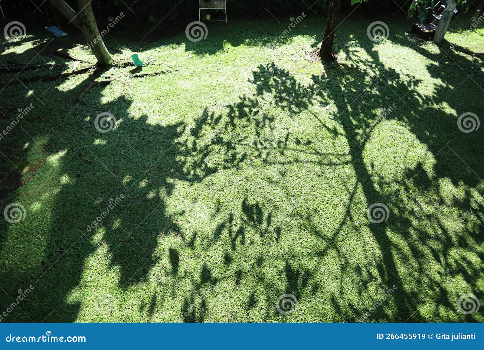 The Shadow Of The Trees On The Pavement, Background Stock Photography ...