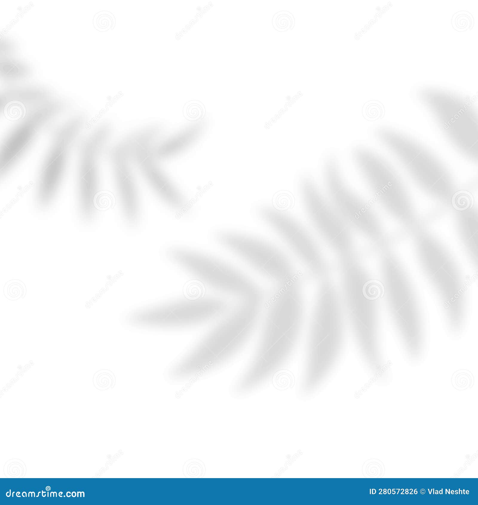 Shadow from Tropical Leaves. Tropical Leaves Silhouette in Defocus ...