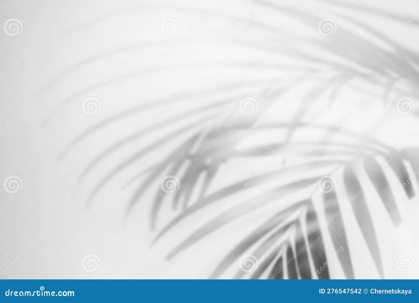 Shadow of Tropical Plant Branches on Light Background Stock Photo ...