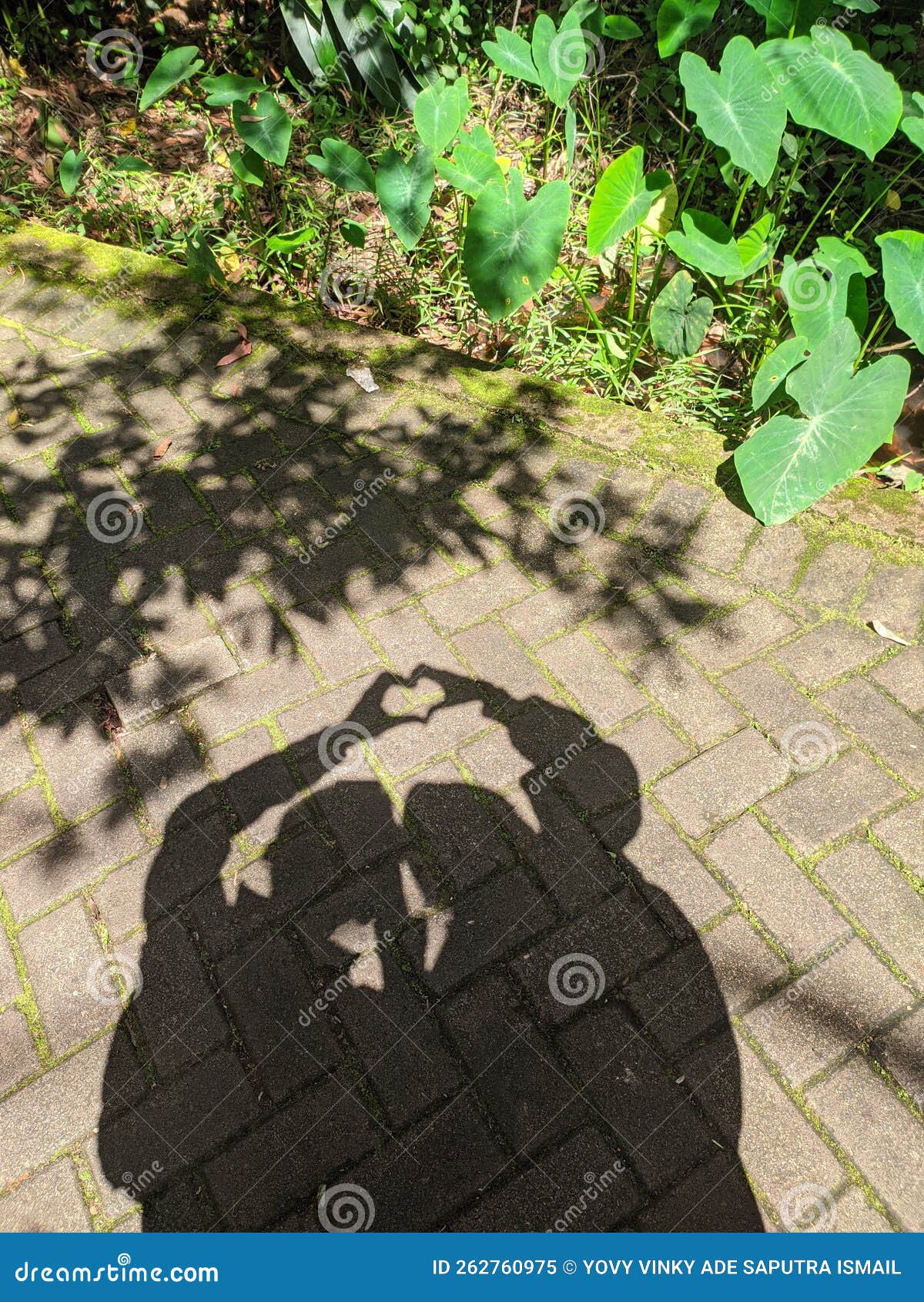 Shadow and Two Lovers in Love, in the Garden Stock Image - Image of ...