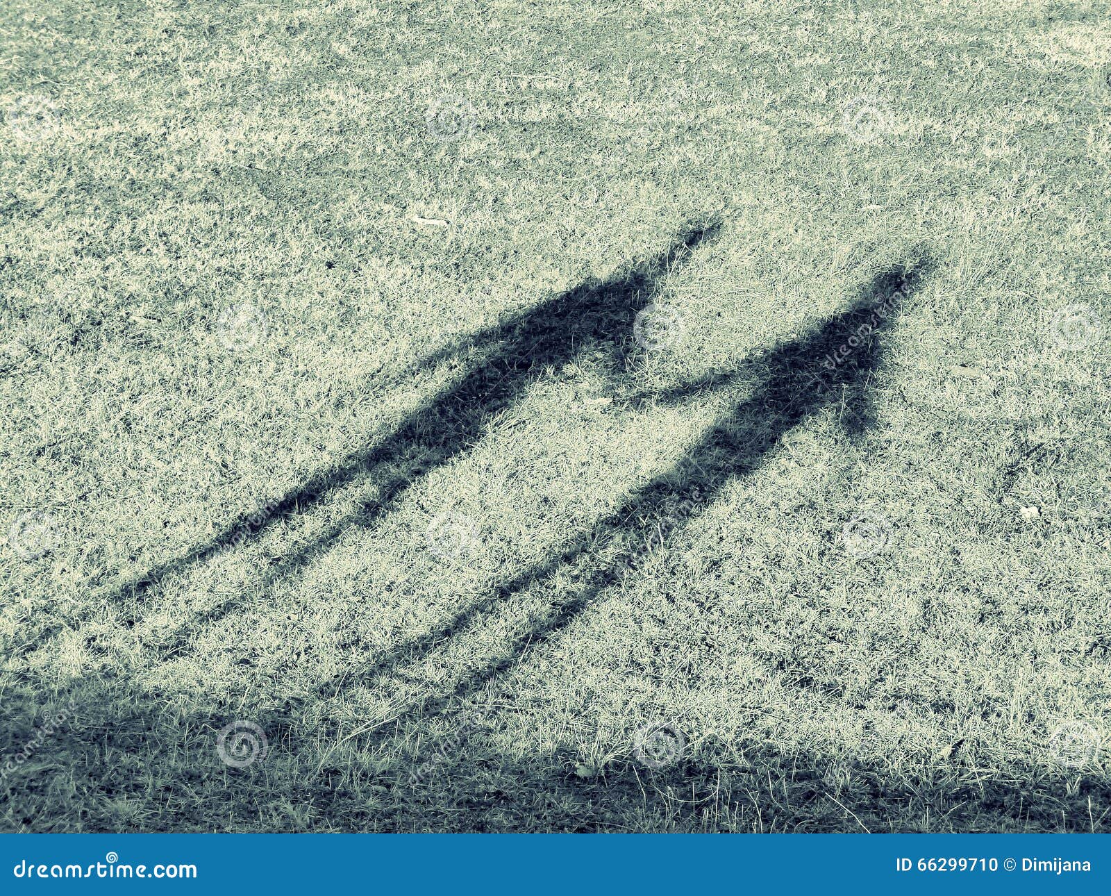 Shadow of Two People Holding Hands Stock Photo - Image of view ...
