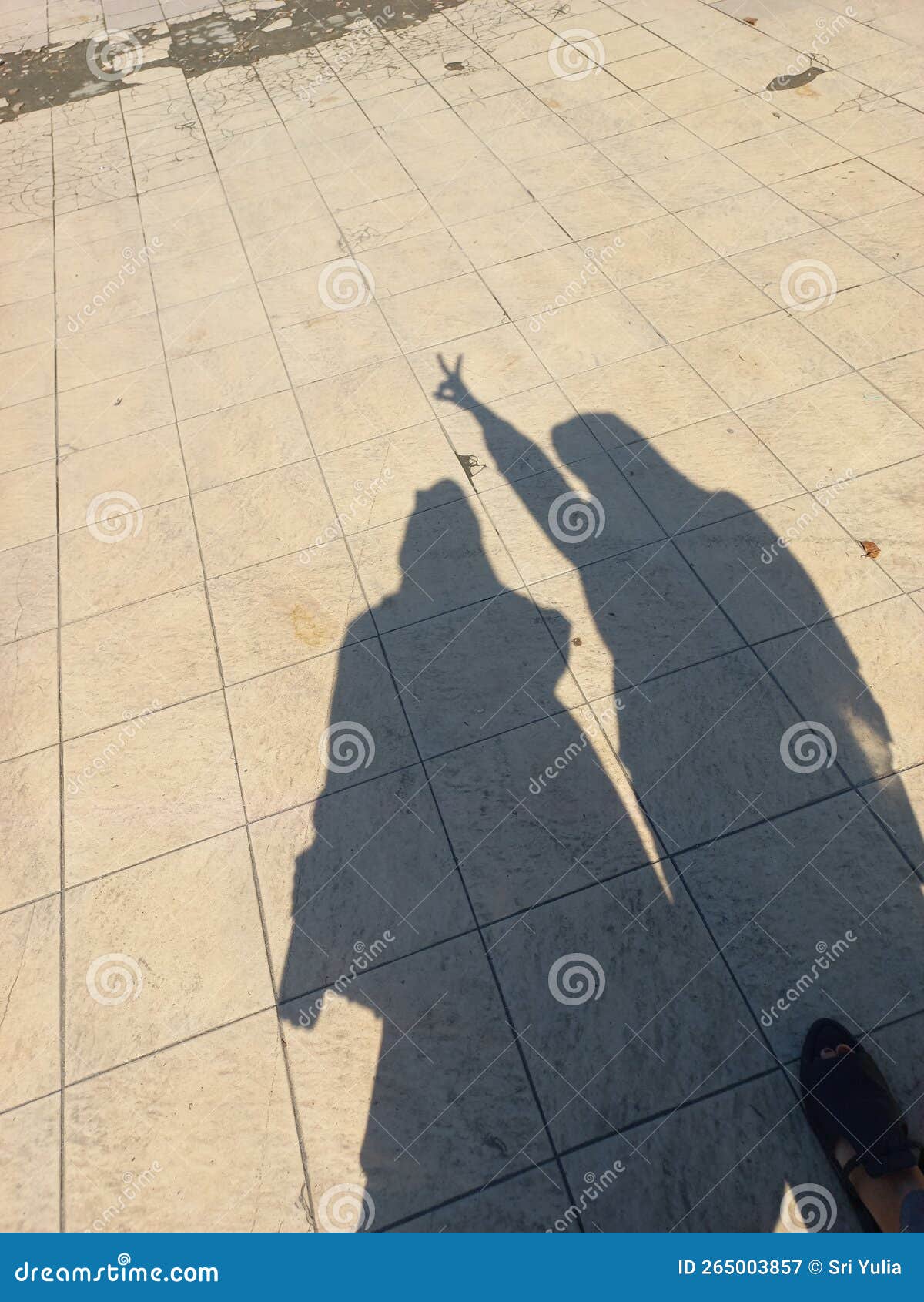 Shadow of two girls stock image. Image of asphalt, iron - 265003857