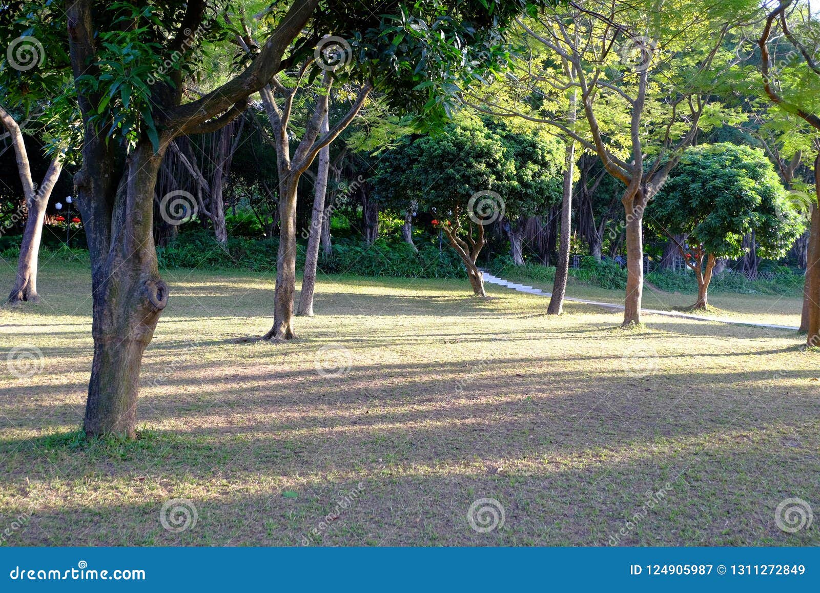 Shadow under sunshine stock image. Image of shadow, opaque - 124905987