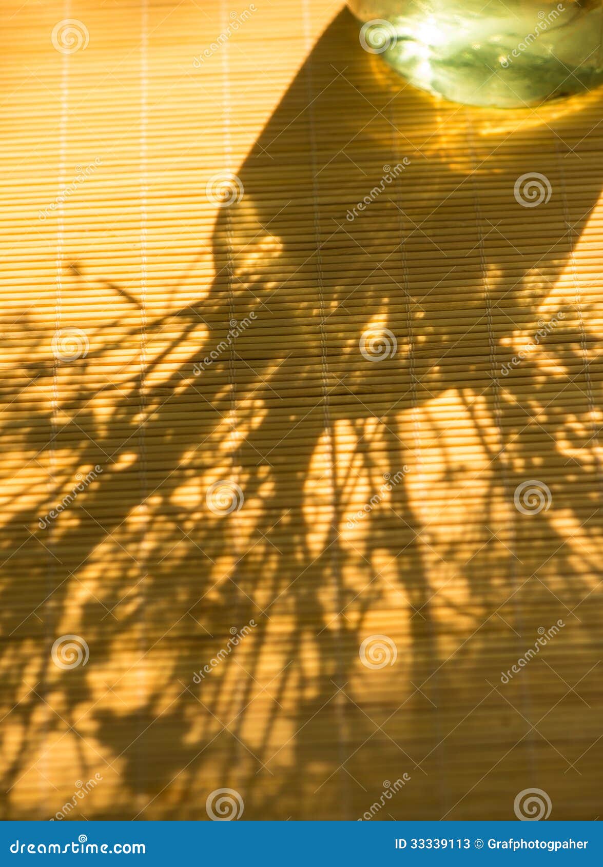 Shadow from a vase stock image. Image of weed, shadow - 33339113