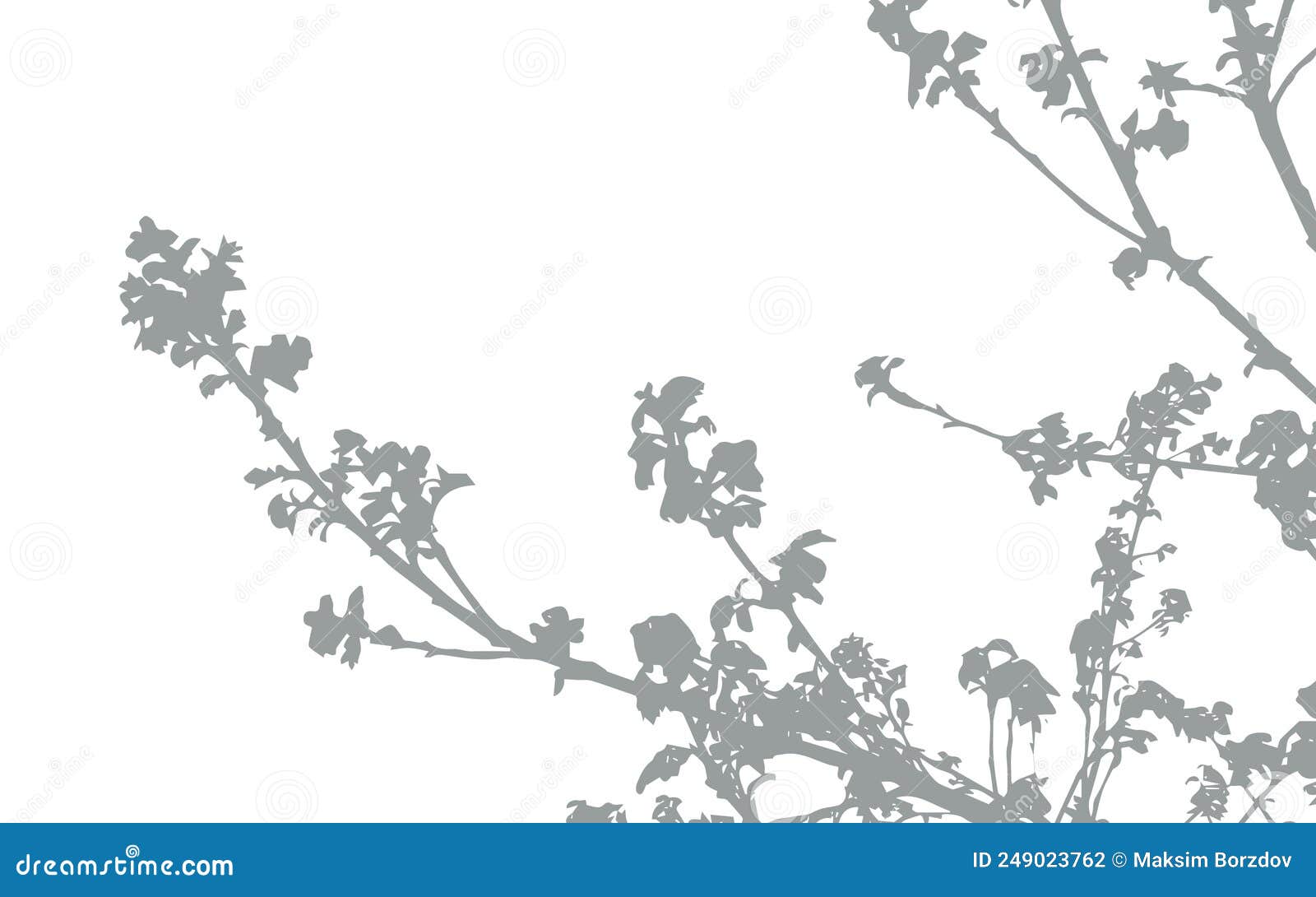 Shadow from Vegetation on the Wall Stock Photo - Image of transparent ...