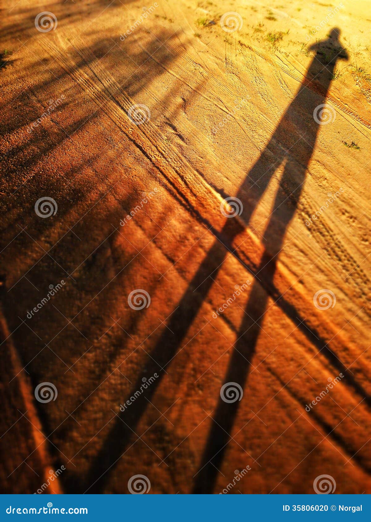 Shadow stock photo. Image of tall, idea, long, golden - 35806020