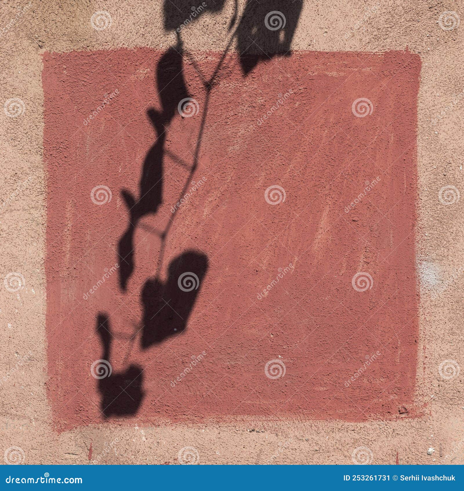 Shadow of Vine on the Wall. Stock Image - Image of leaf, pattern: 253261731